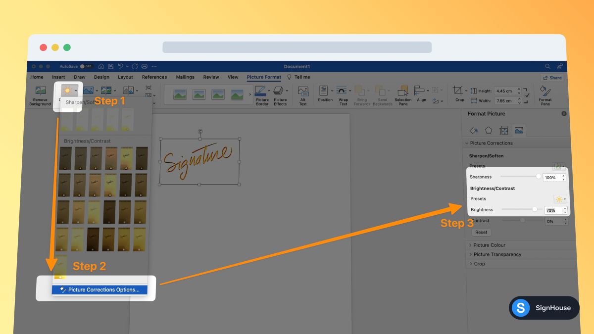 Transparent Signature: How To Make a PNG Signature (2024) | SignHouse